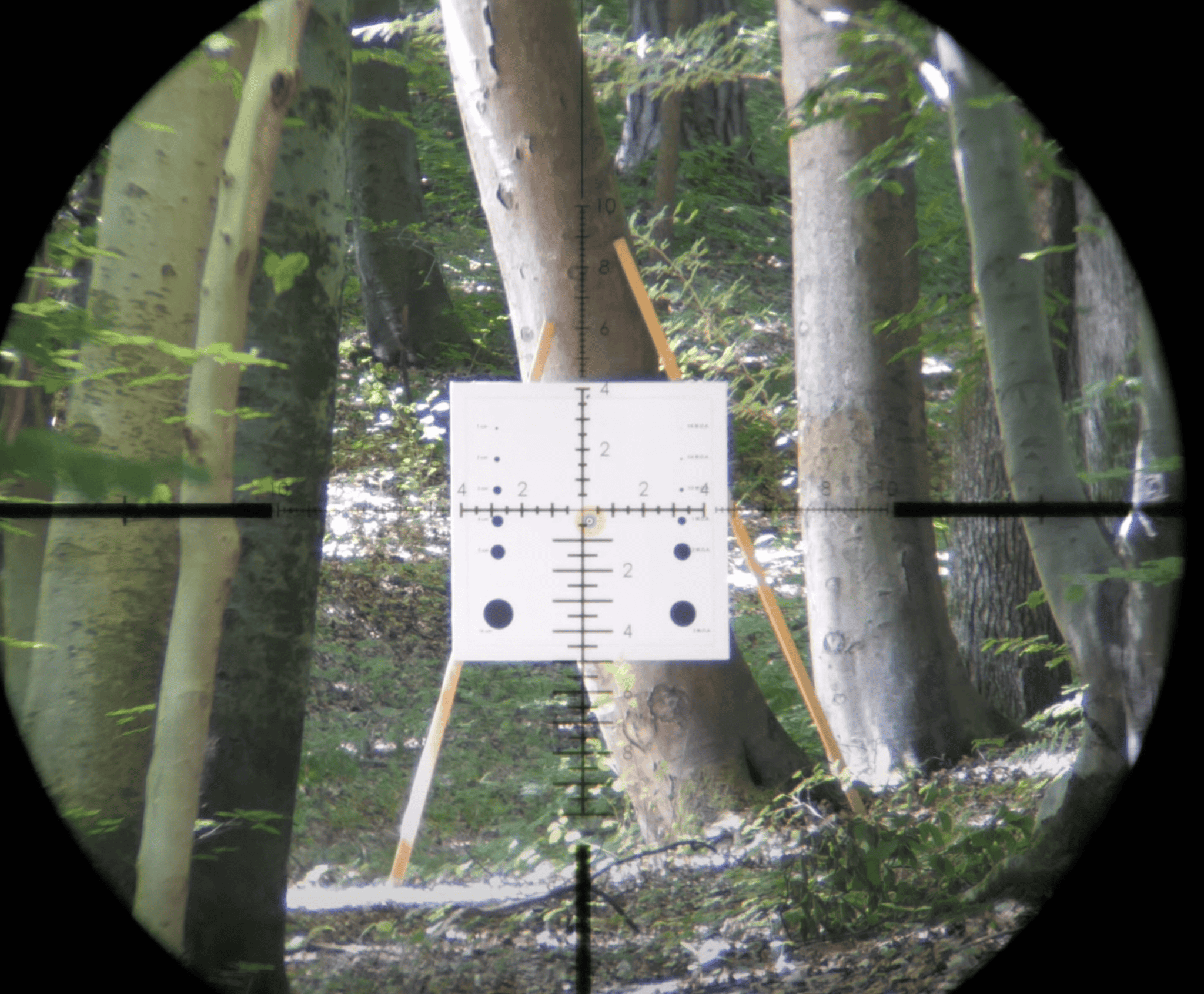 Best Scope for M4 - Top 4 Optics in 2025